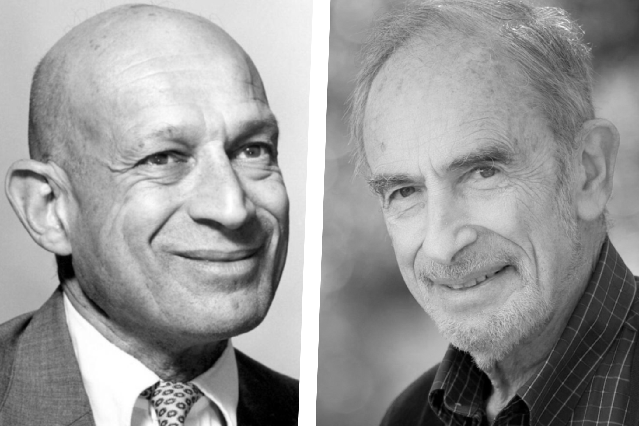 ¿Suerte o perspicacia? La apuesta Simon-Ehrlich re-considerada | elcato.org